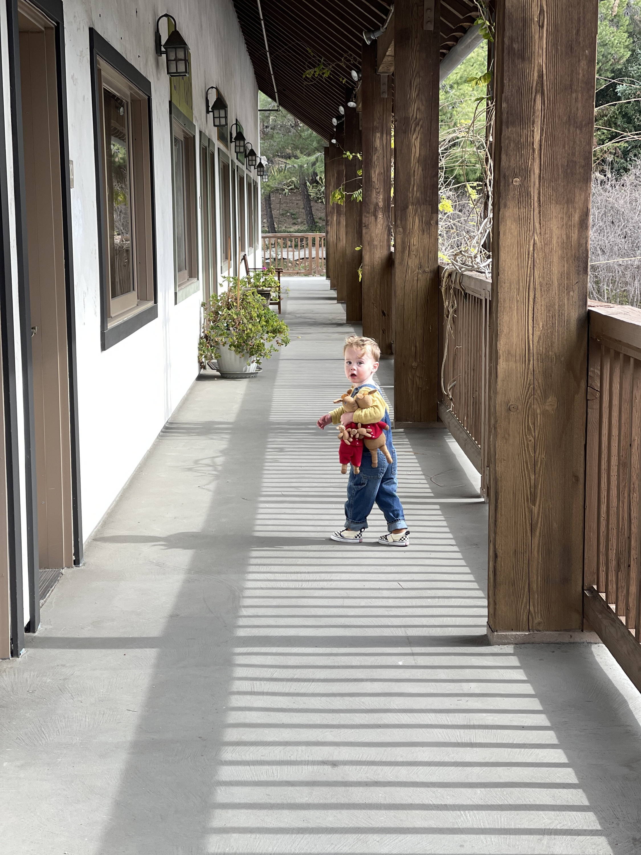 WLW Origins (Part Two) – The Well Lived Woman